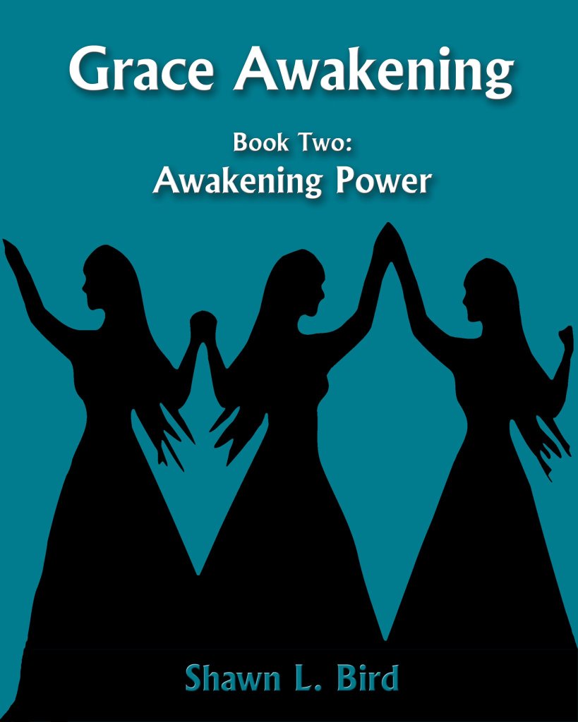 Grace Awakening novels | Shawn L. Bird