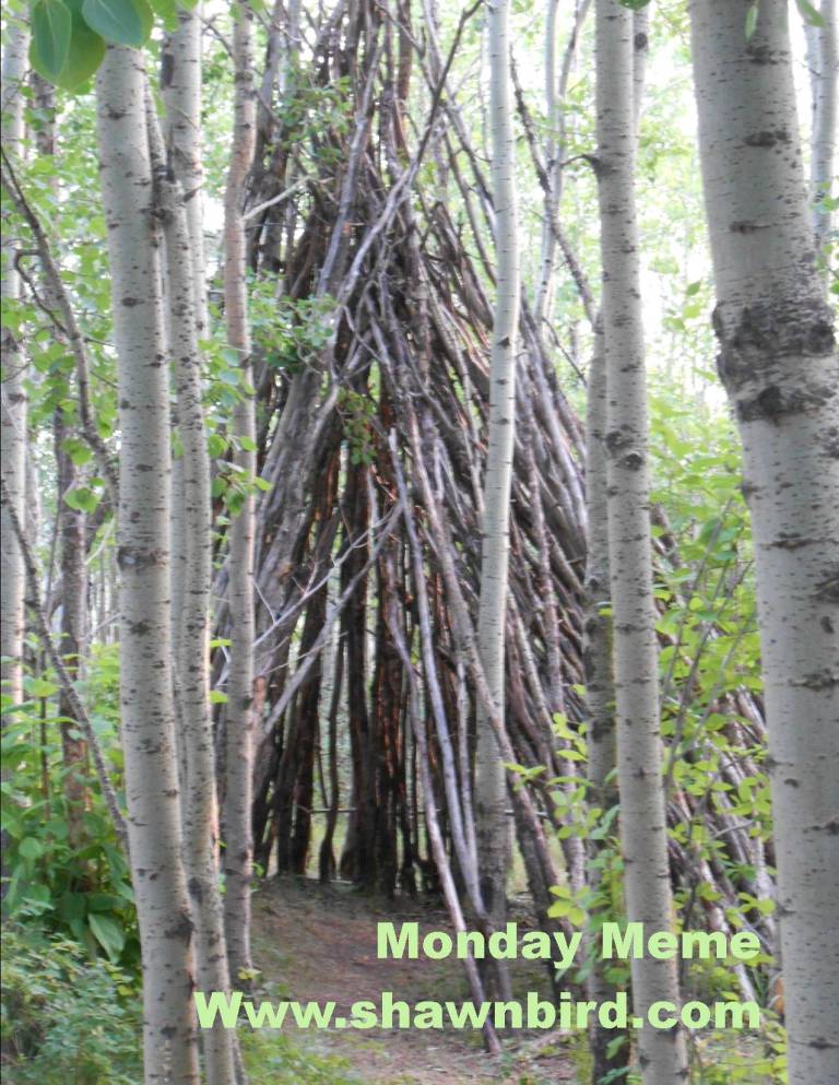 Monday Meme | Shawn L. Bird